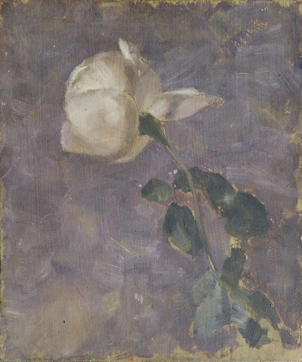 Slow Bloom: An Introduction